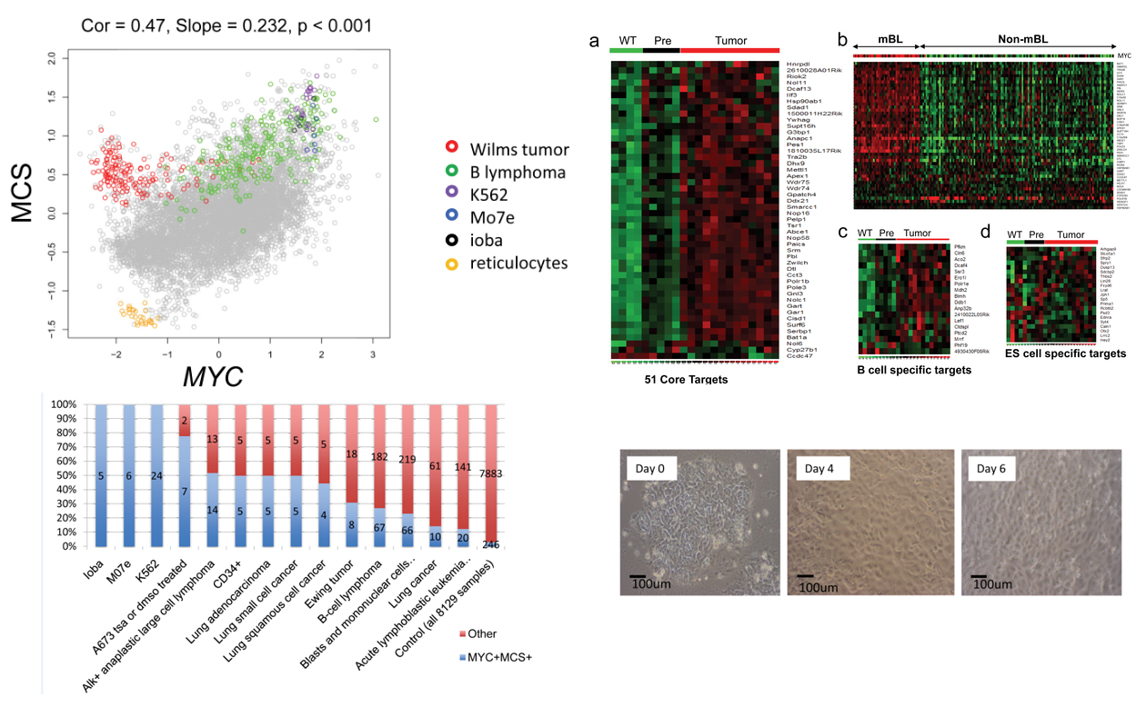 Research – Ji Lab